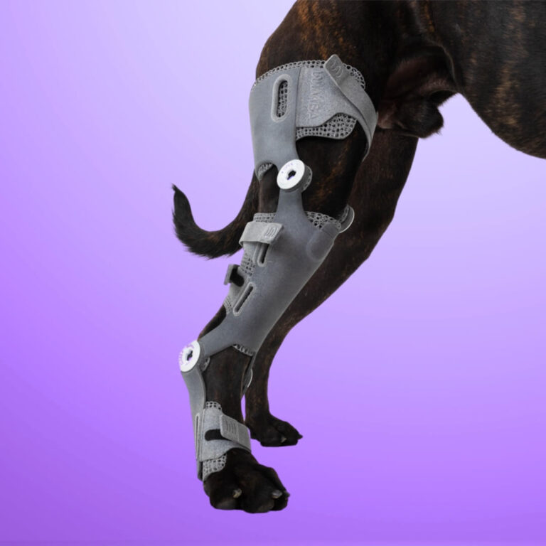 WIMBA | Custom 3D-Printed Pet Orthotics and Prosthetics