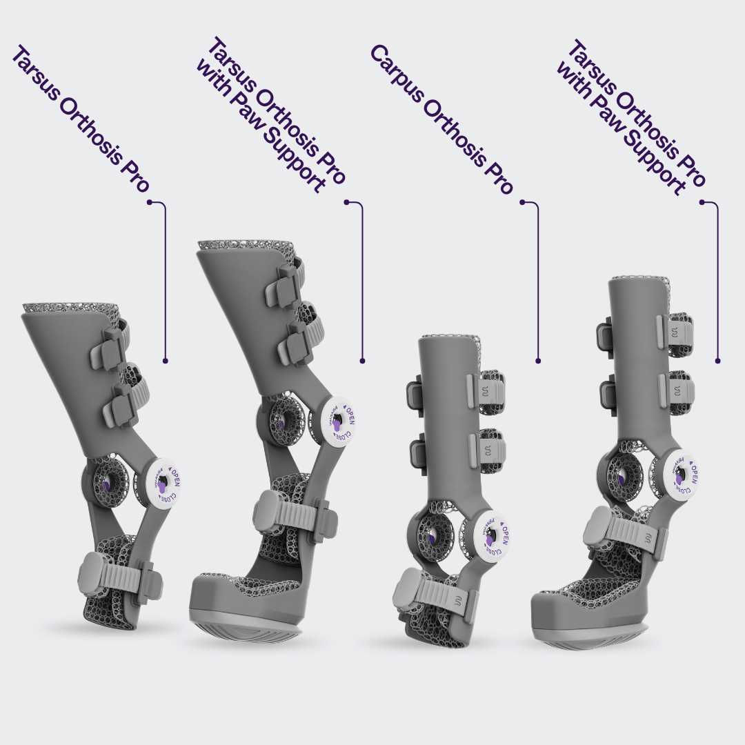 WIMBA Orthotic and Prosthetics for Pets | All Solutions