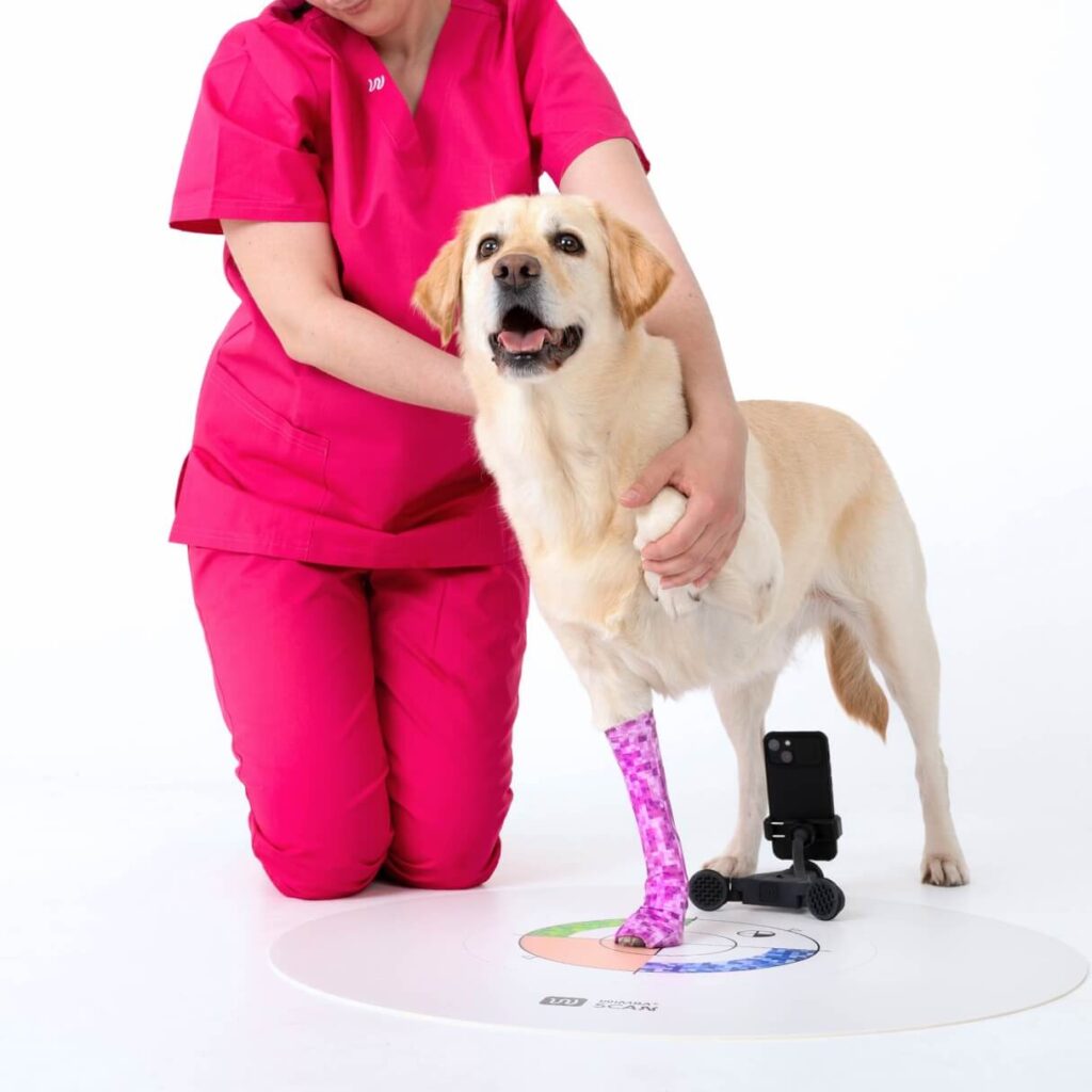 WIMBA | Custom 3D-Printed Pet Orthotics and Prosthetics