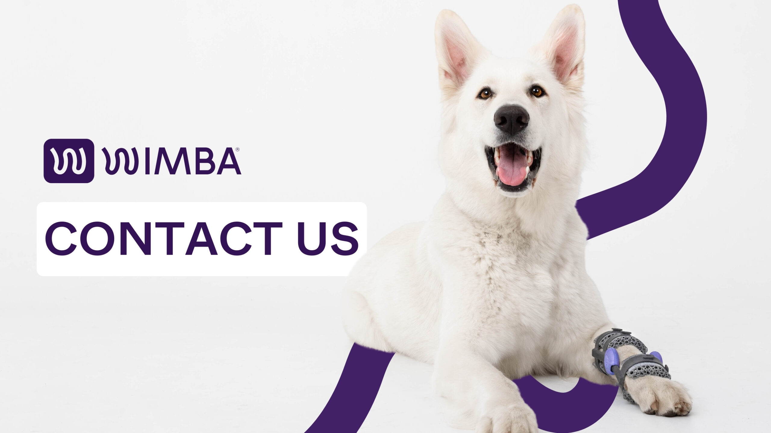 Contact WIMBA for Expert Pet Orthotic Solutions
