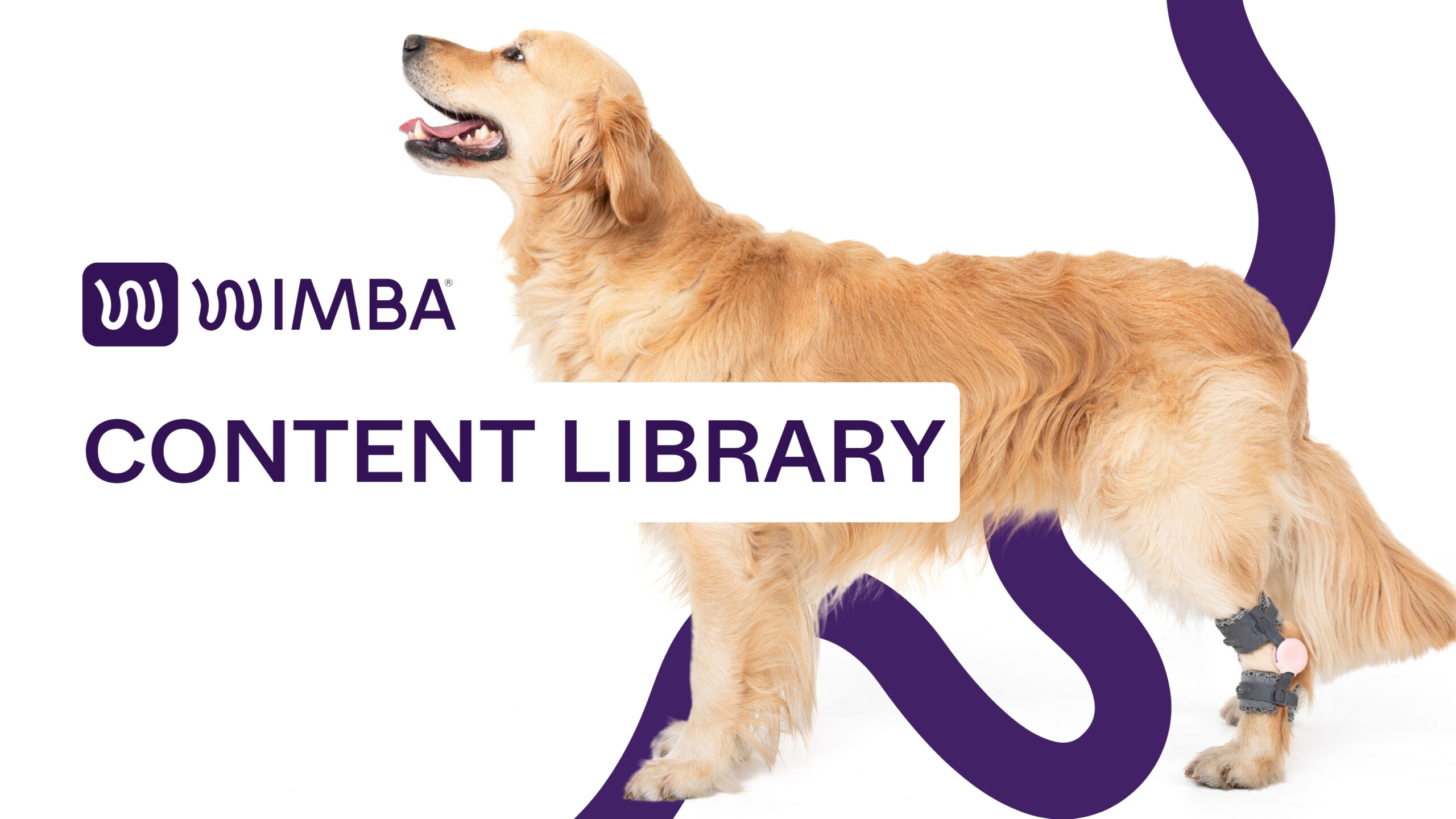 WIMBA Content Library | Pet Orthopedic Insights & Resources