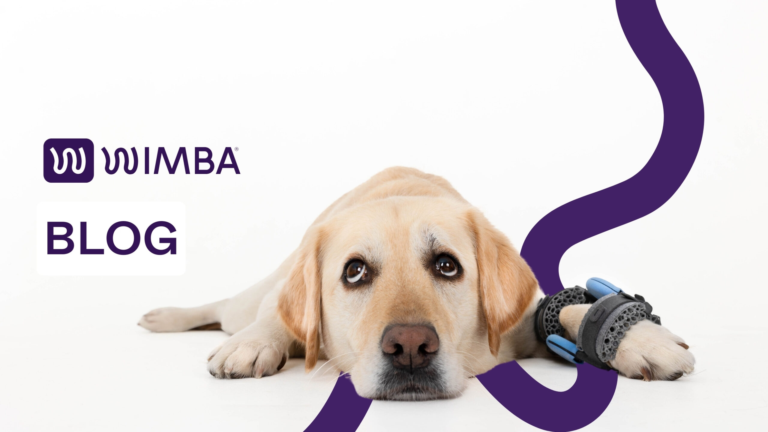 Blog - WIMBA - Discover Insights and Tips on Pet Orthopedics
