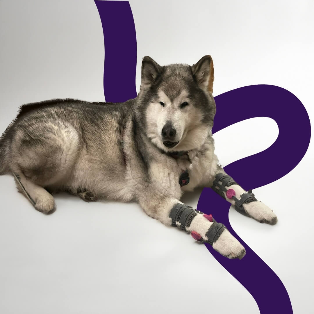 WIMBA Carpal Brace - Custom Wrist Orthotics