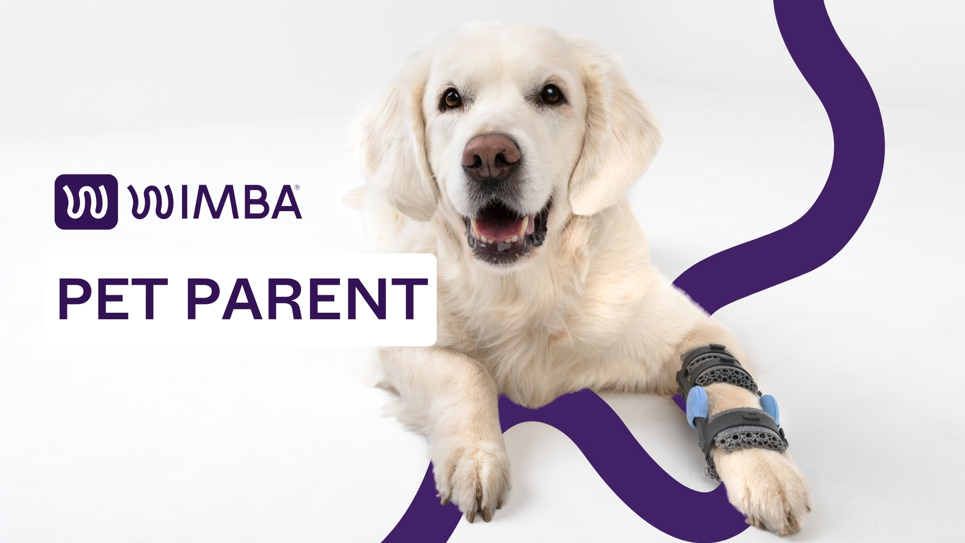 Custom-Fit Pet Orthotics by WIMBA