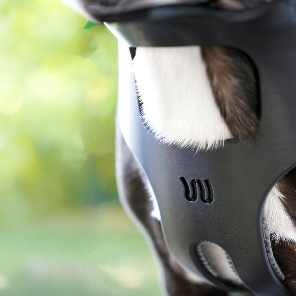 Cervical Collar: Best Dog Neck Brace (5 Sizes) | WIMBA