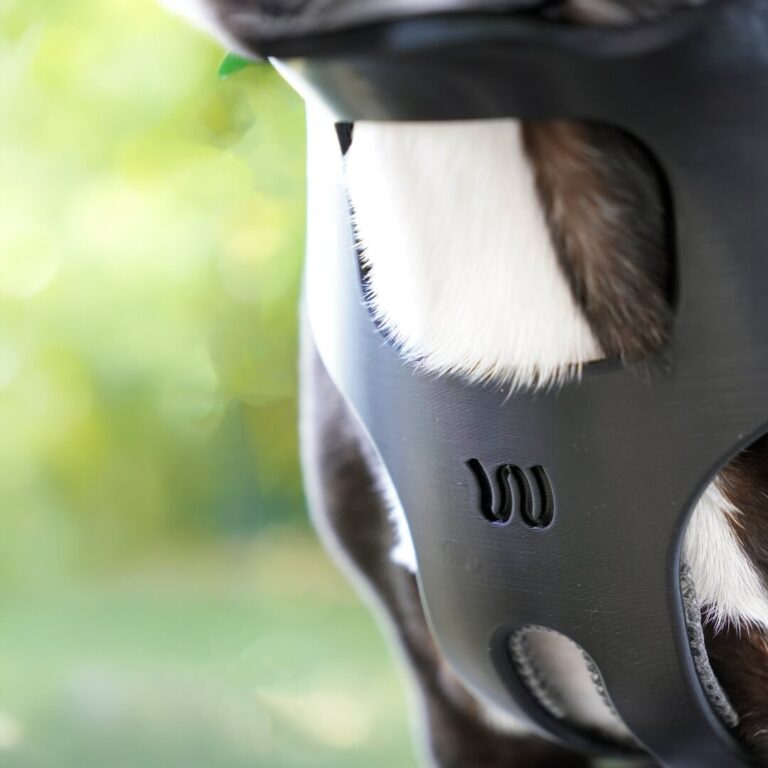 Cervical Collar: Best Dog Neck Brace (5 Sizes) | WIMBA