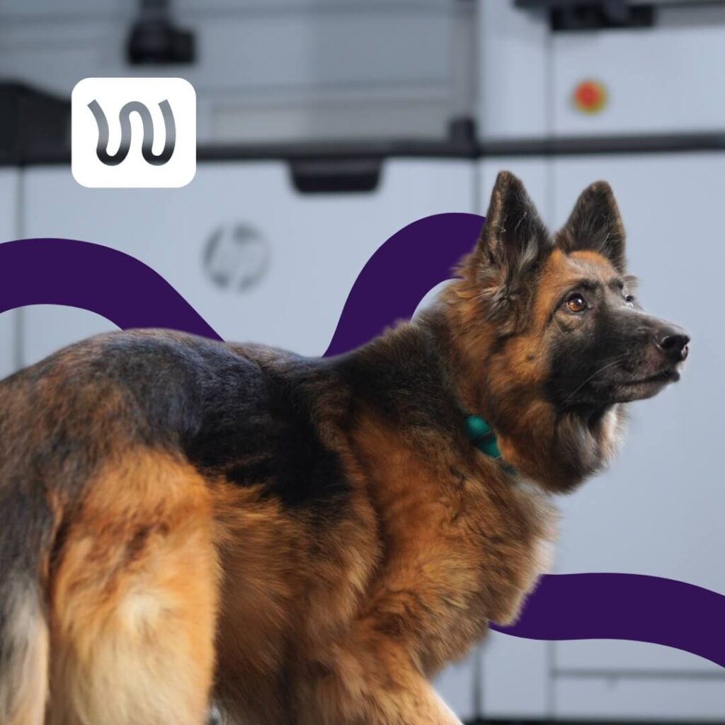 WIMBA Launches Its 3D Printing Facility to Deliver Pet Orthotics Faster