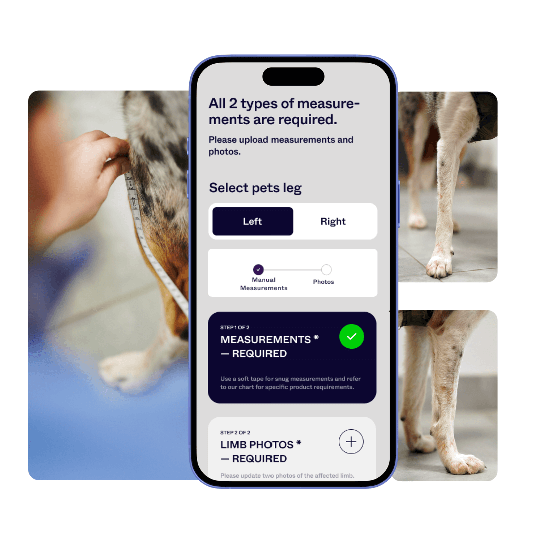 WIMBA Orthotic and Prosthetics for Pets | All Solutions