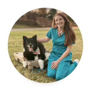 Cranial Cruciate Ligament Injury in Dogs: Causes, Signs and Treatment