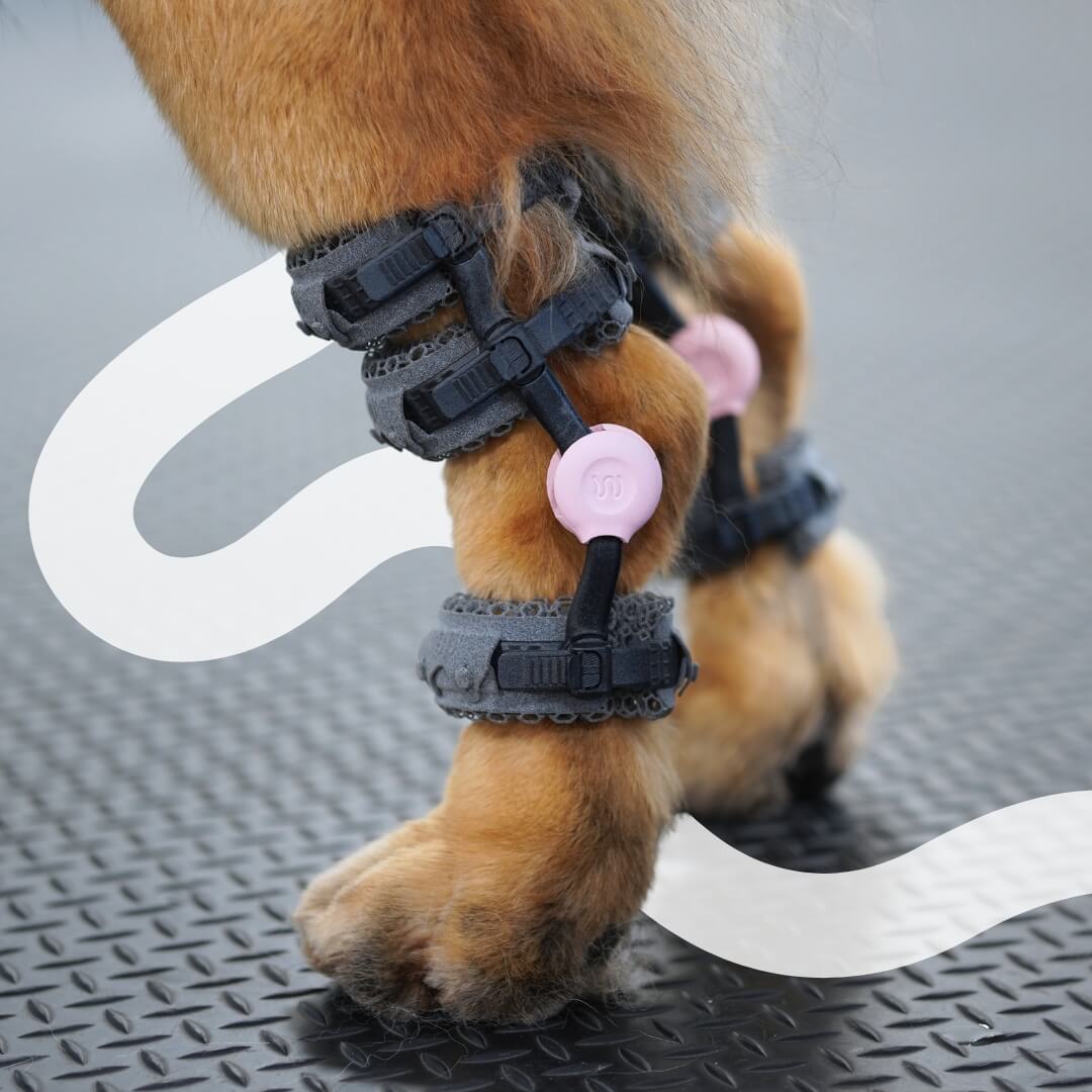 WIMBA Tarsal Brace - Custom Ankles Orthotics