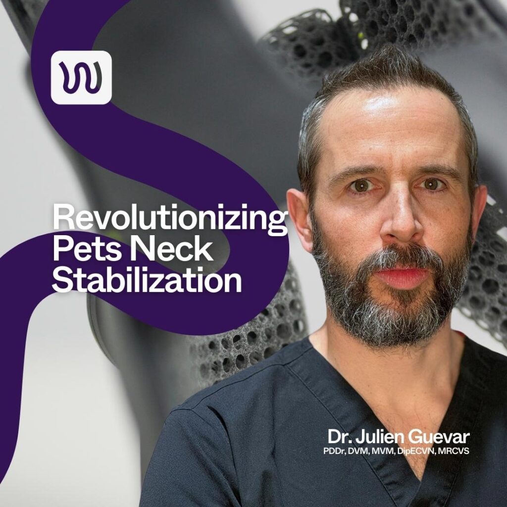 Cervical Collar: Best Dog Neck Brace (5 Sizes) | WIMBA