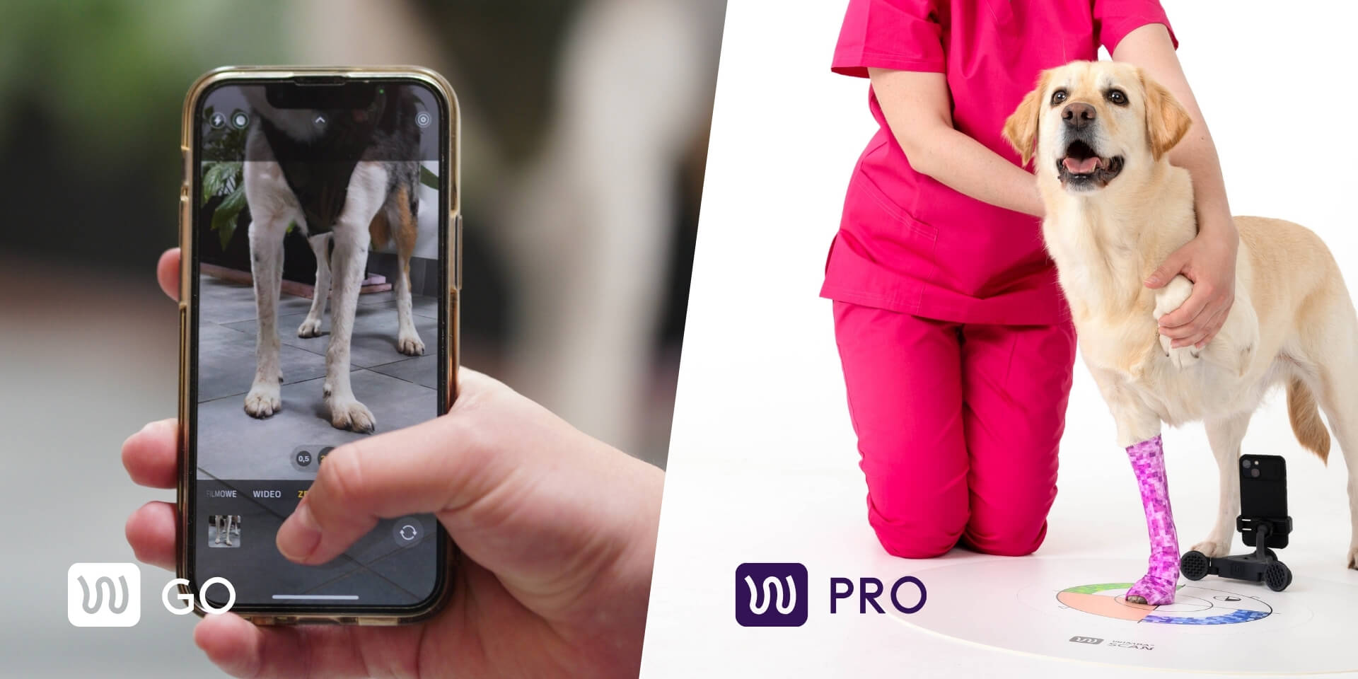 Custom-Fit Pet Orthotics by WIMBA