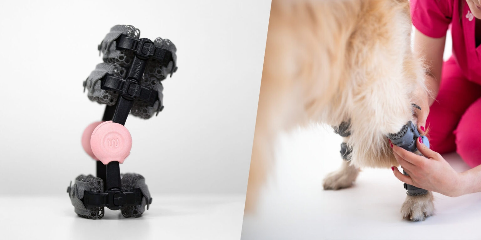 Pet Parents: How to Order Dog Orthotics | 2 Easy Options