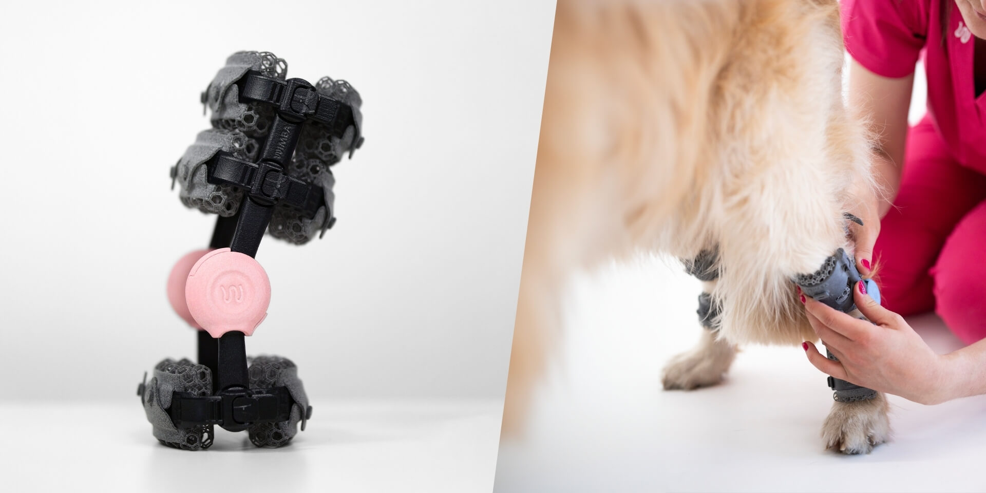 Custom-Fit Pet Orthotics by WIMBA