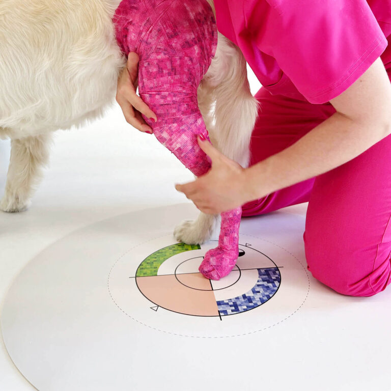 Dog Knee Brace from WIMBA - Stifle Orthotics for Pets