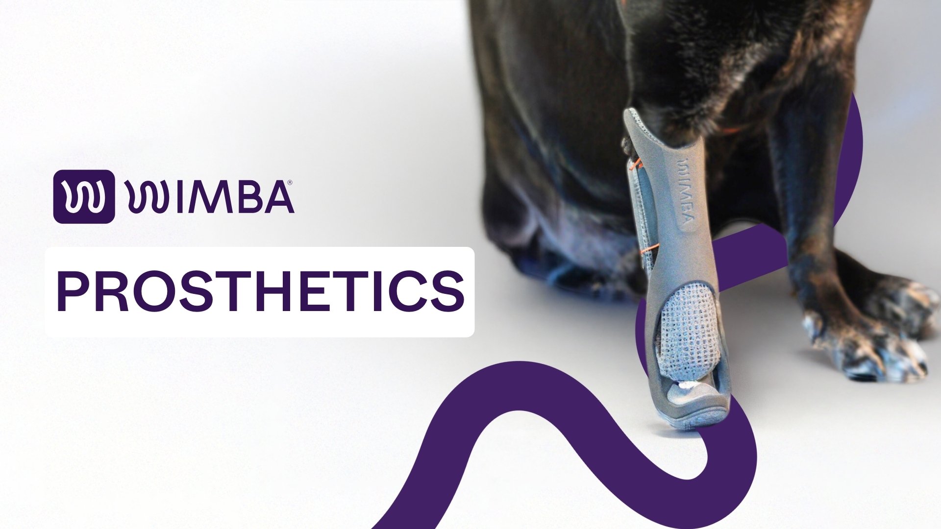 Prosthetics for Dogs: Custom-Made & 3D-Printed Prostheses