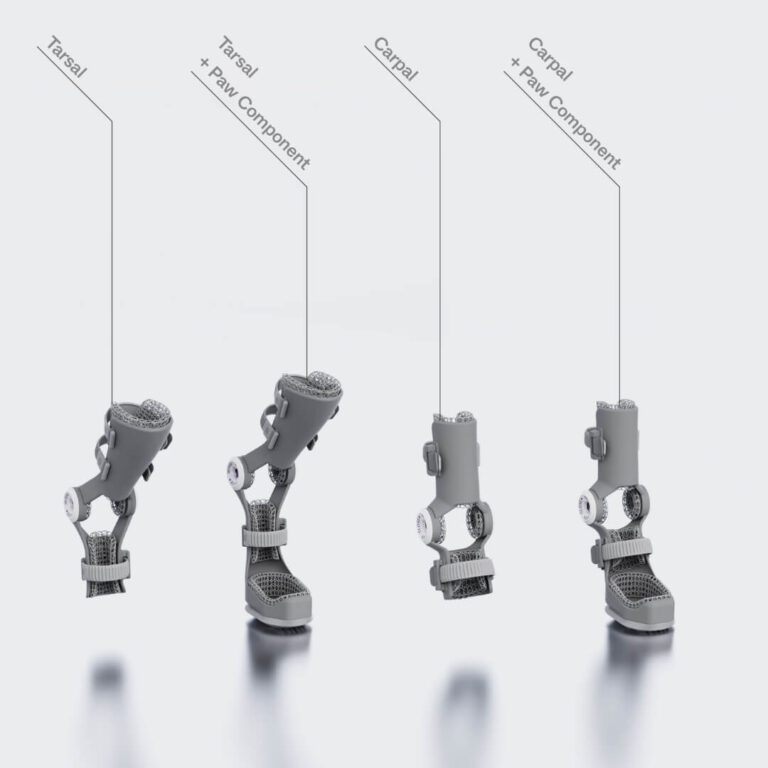 WIMBA Orthotic and Prosthetics for Pets | All Solutions