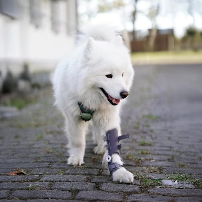 WIMBA Carpal Brace - Custom Wrist Orthotics