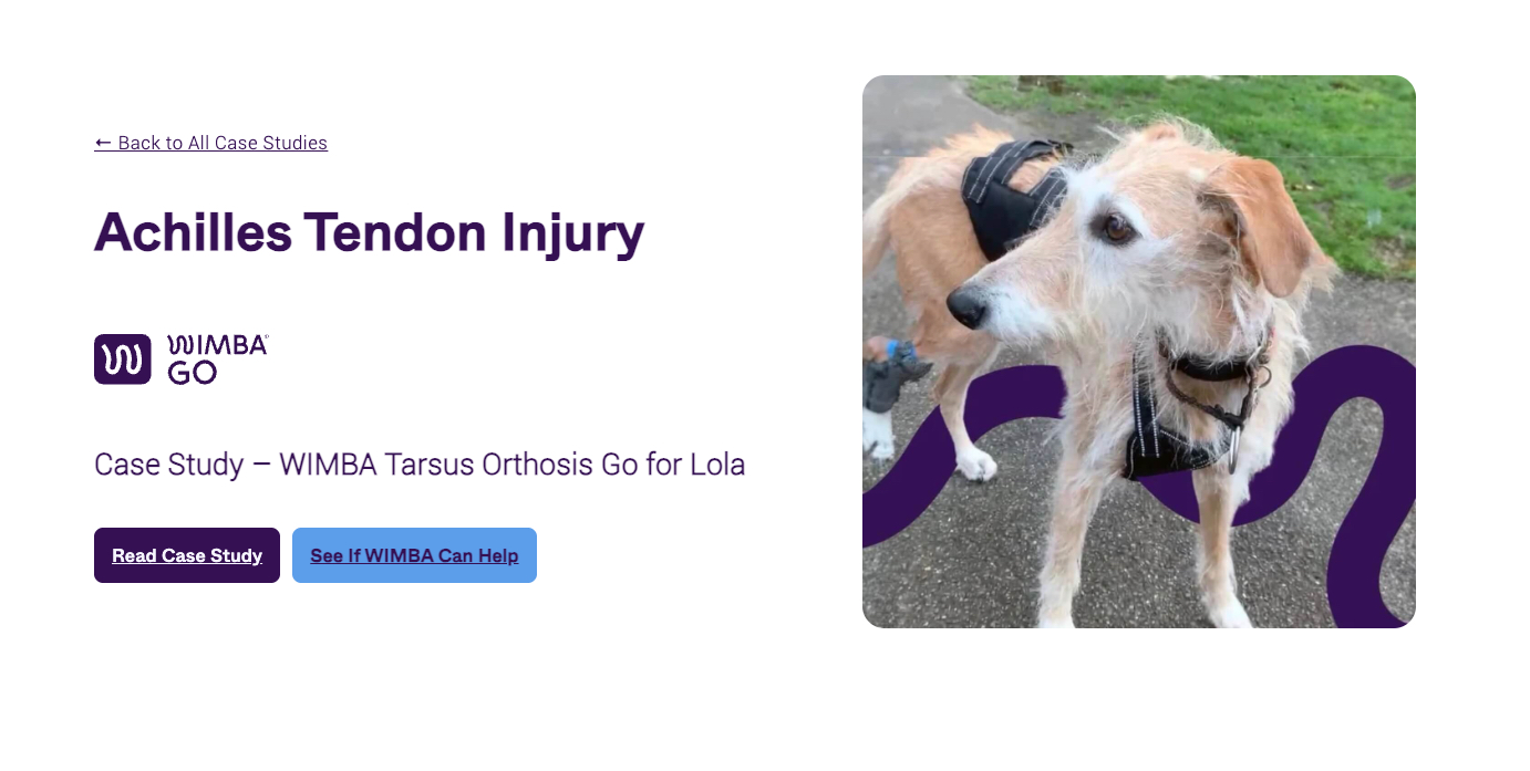 Case Study - WIMBA Tarsus Orthosis Go for Lola