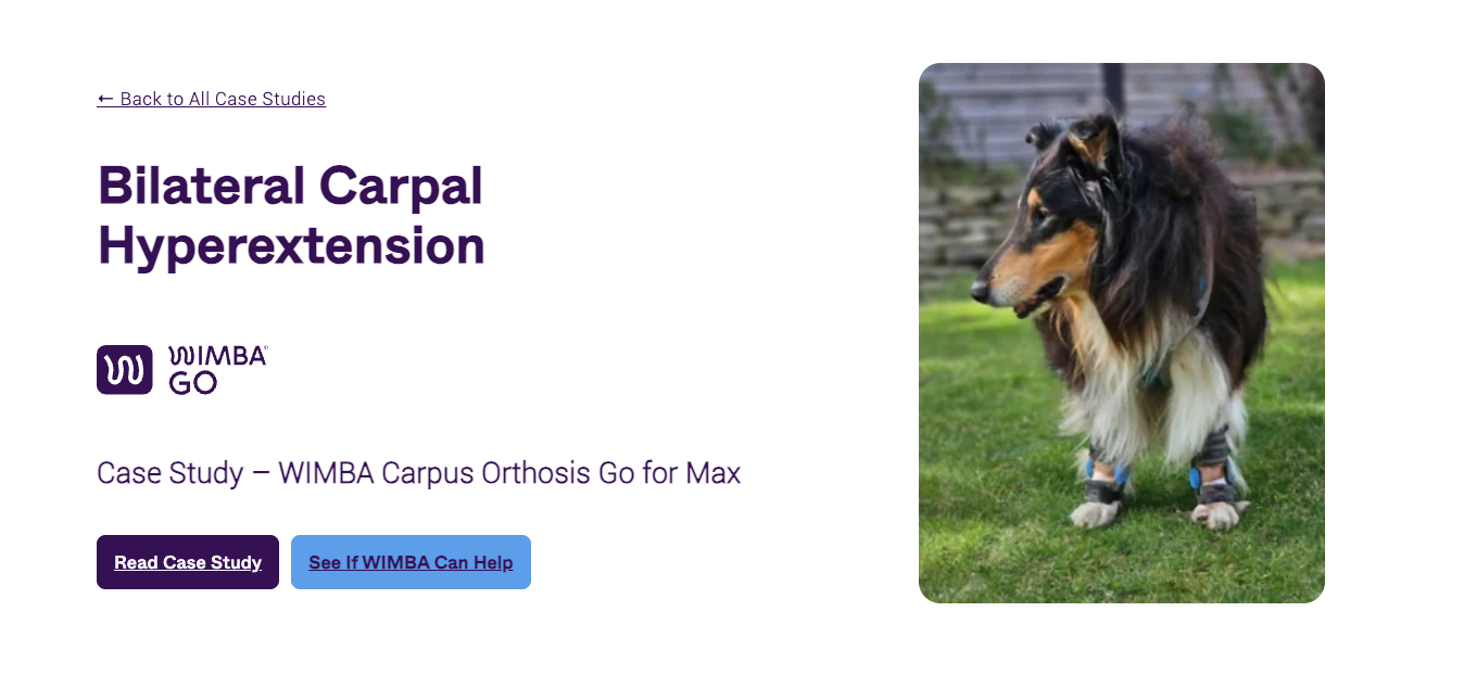 Case Study - WIMBA Carpus Orthosis Go for Max