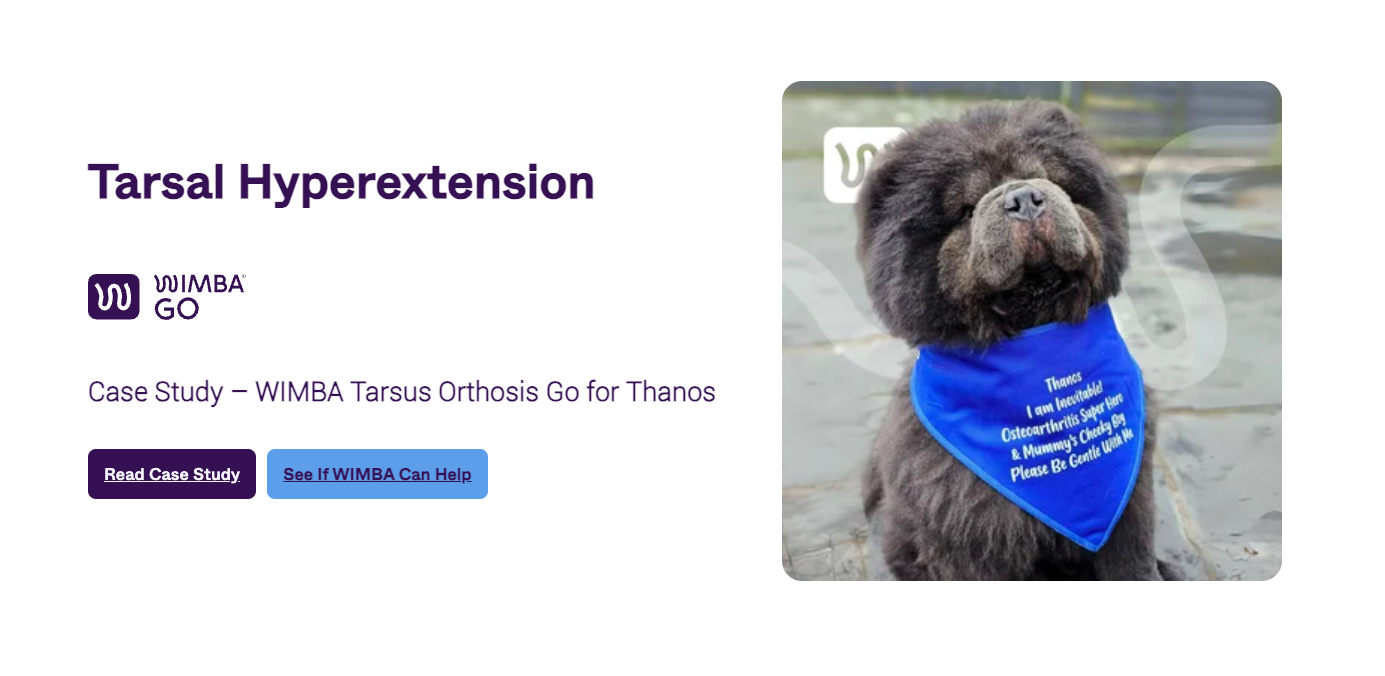 Case Study - WIMBA Tarsus Orthosis Go for Thanos