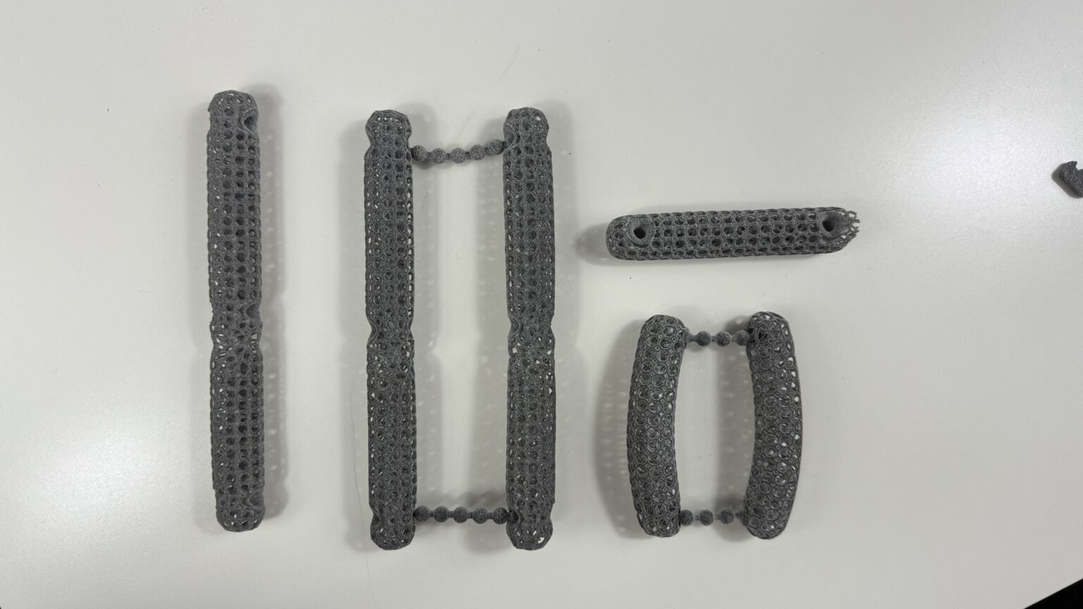 WIMBA Orthotics: Advanced 3D Veterinary Devices